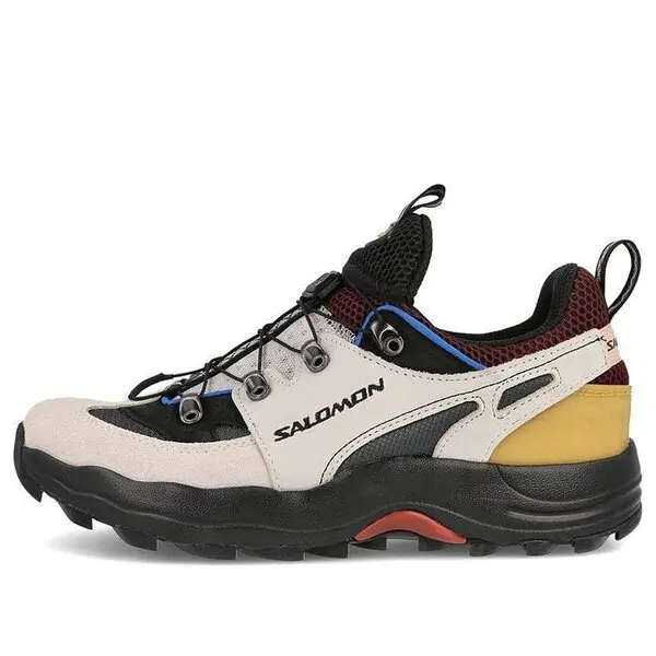 SALOMON Raid Wind Advanced Sneakers - Grey