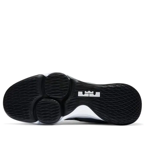 Nike Lebron Witness 4 Tb High Top Sneakers
