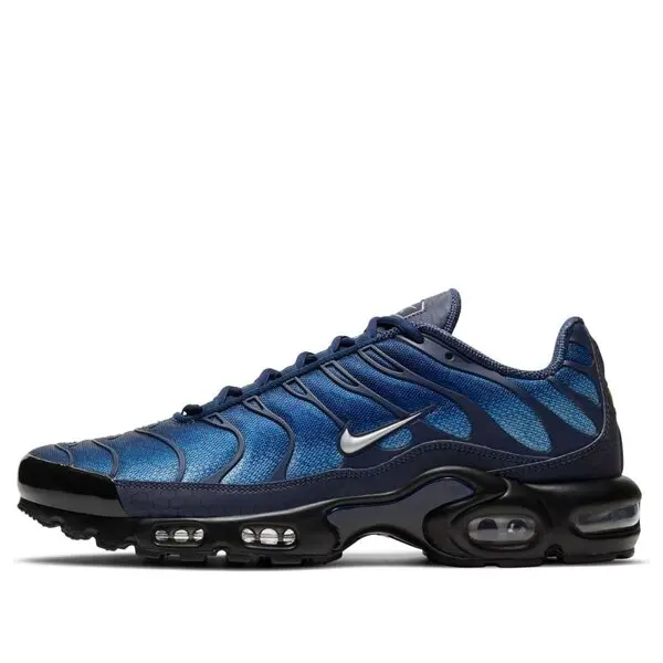 Nike Max Plus Sneakers