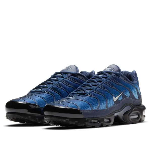 Nike Max Plus Sneakers