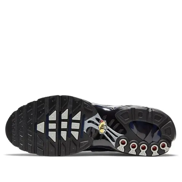 Nike Max Plus Sneakers