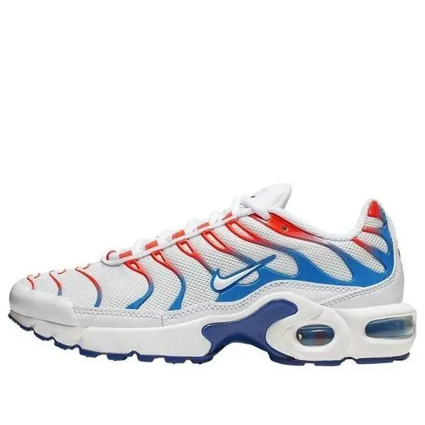 Nike Max Plus Sneakers
