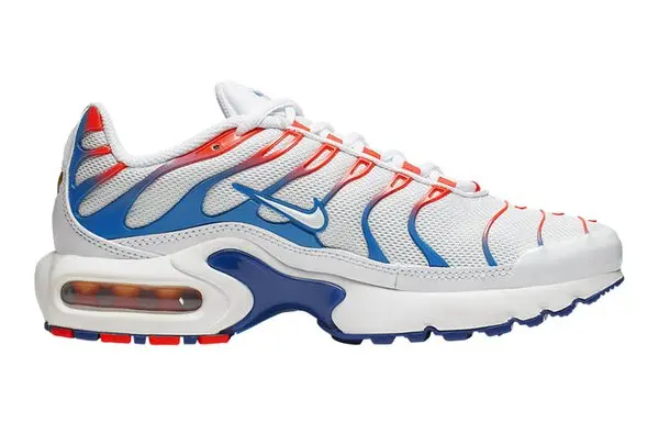Nike Max Plus Sneakers