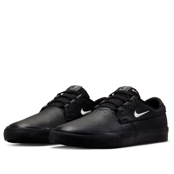 Nike Shane "triple Black" Skate Shoes