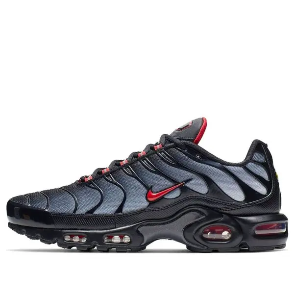 Nike Max Plus Sneakers - Black/grey