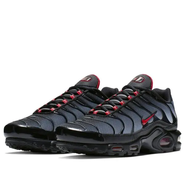 Nike Max Plus Sneakers - Black/grey