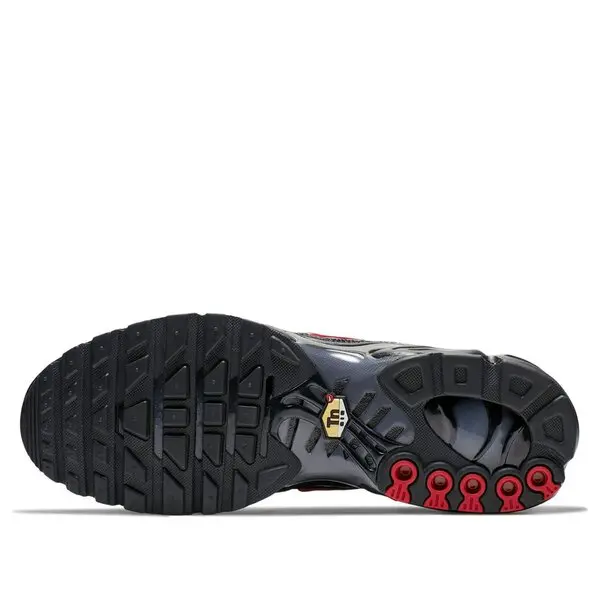 Nike Max Plus Sneakers - Black/grey