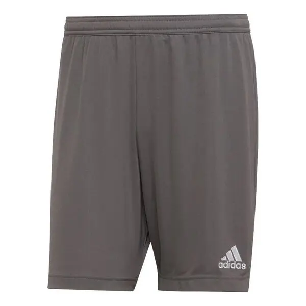 Adidas Entrada 22 Shorts - Grey