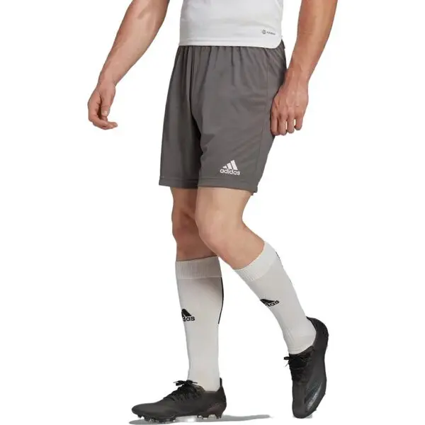 Adidas Entrada 22 Shorts