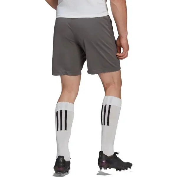 Adidas Entrada 22 Shorts