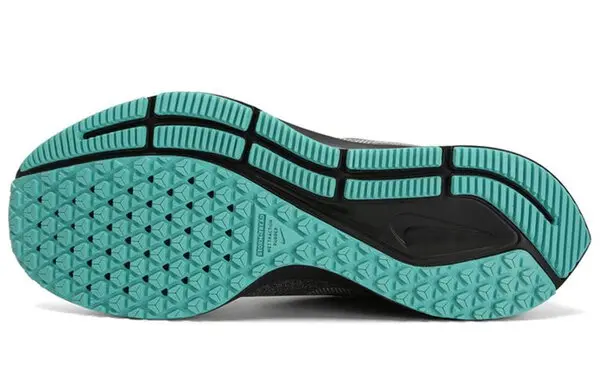 Nike Zoom Pegasus 35 Run Shield