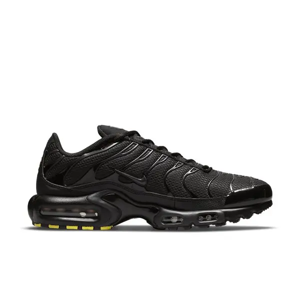 Nike Max Plus Sneakers