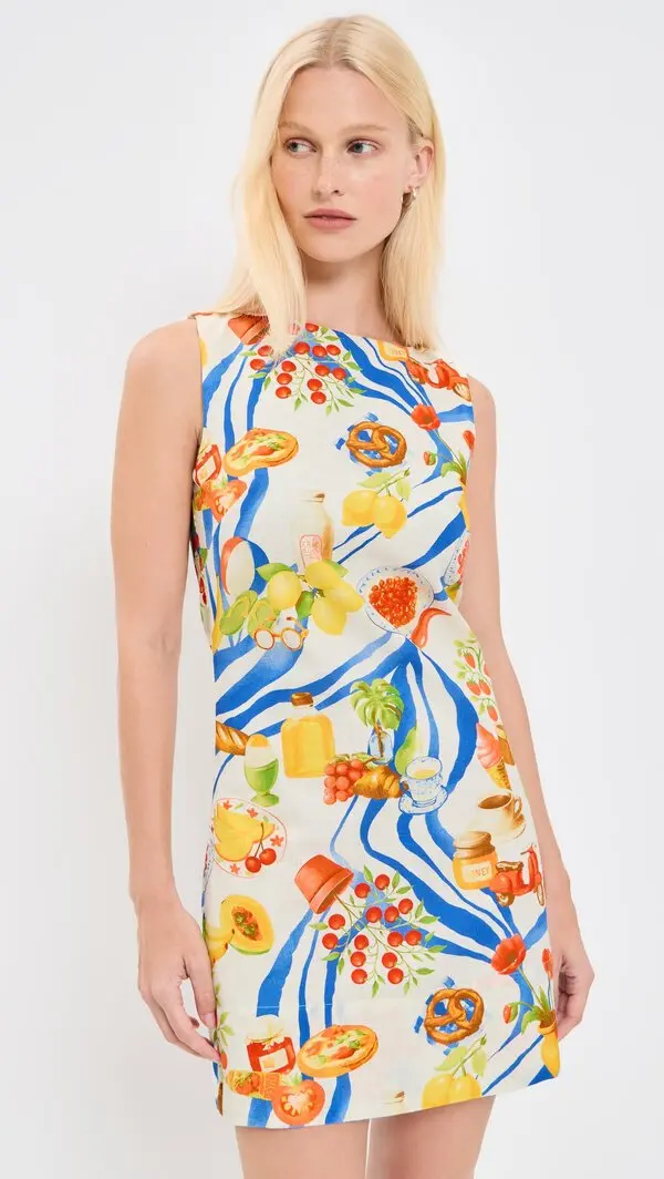 Moon River Sleeveless Boatneck Mini Dress
