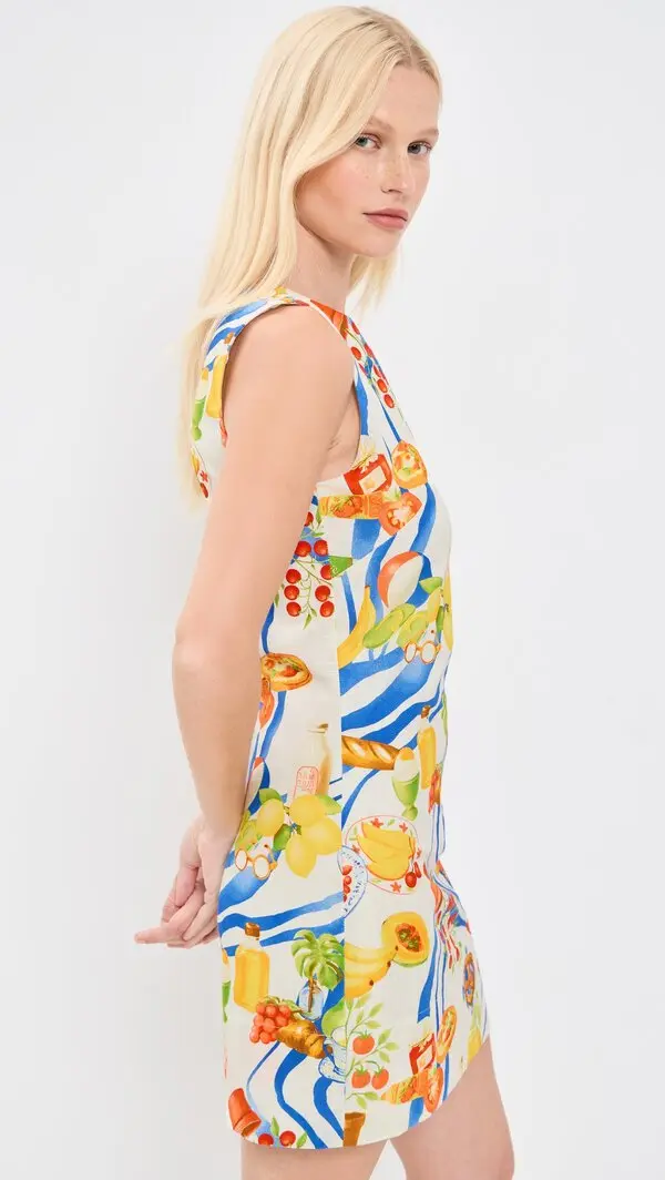 Moon River Sleeveless Boatneck Mini Dress