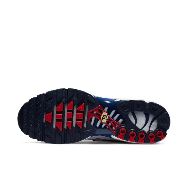 Nike Max Plus 'euro Tour' Sneakers