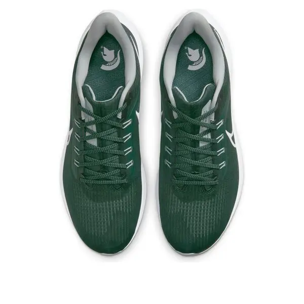 Nike Zoom Pegasus 39 "michigan State" Sneakers - Binary Blue/black/white