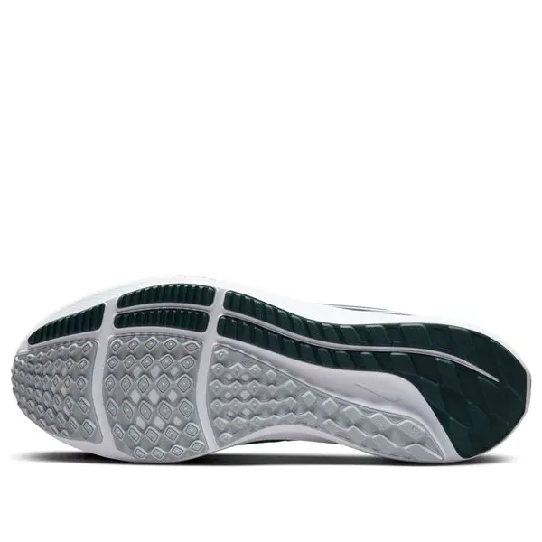 Nike Zoom Pegasus 39 "michigan State" Sneakers - Binary Blue/black/white
