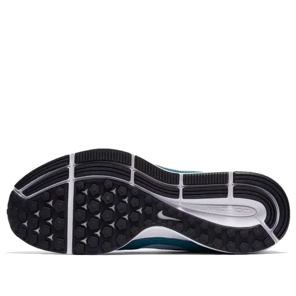 Nike Zoom Pegasus 34 - Black/brown