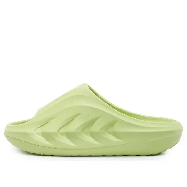 RIGORER Mini Shark Slides - Green