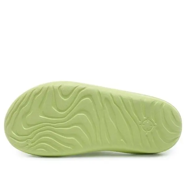 RIGORER Mini Shark Slides - Green