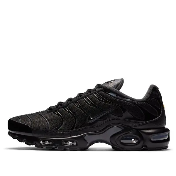 Nike Max Plus Sneakers - Black