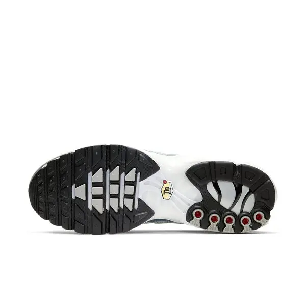 Nike Max Plus Sneakers