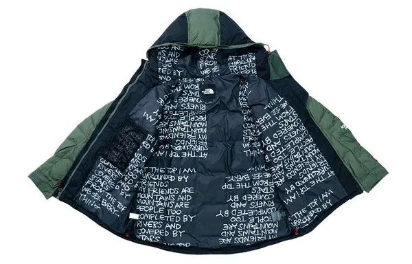 The North Face Logo Down Jacket
