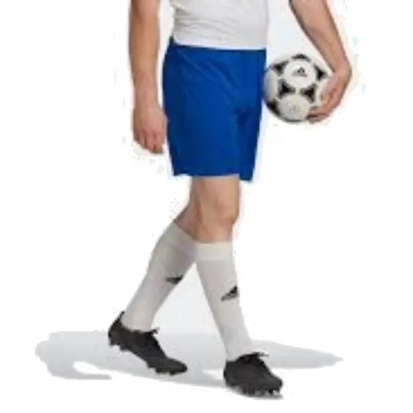 Adidas Entrada 22 Shorts - Blue