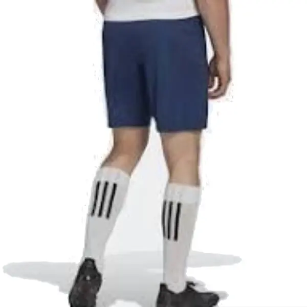 Adidas Entrada 22 Shorts