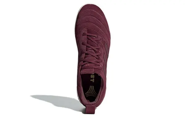 Adidas Copa 19+ Maroon Soccer Cleats