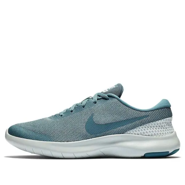 Nike Flex Experience Rn 7 Low Top Sneakers - Blue/white