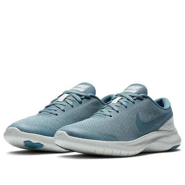 Nike Flex Experience Rn 7 Low Top Sneakers - Blue/white