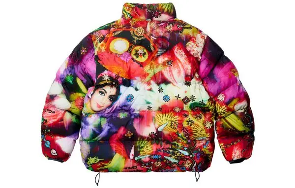 PALACE Ripstop Puffa Jacket - Multi-color