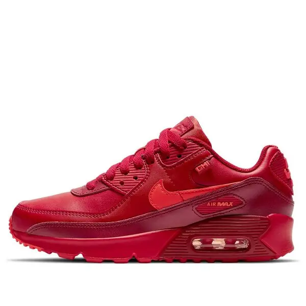 Nike Max 90 City Special Chicago