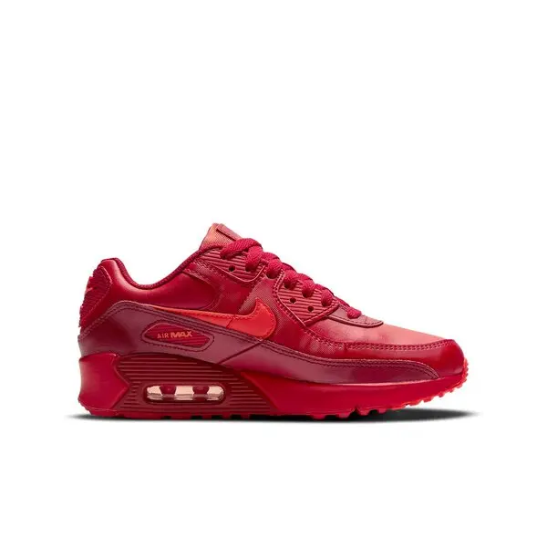 Nike Max 90 City Special Chicago