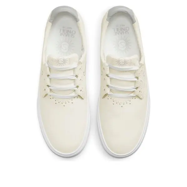 Nike Shane Premium Sb "sail" Low Top Sneakers - White