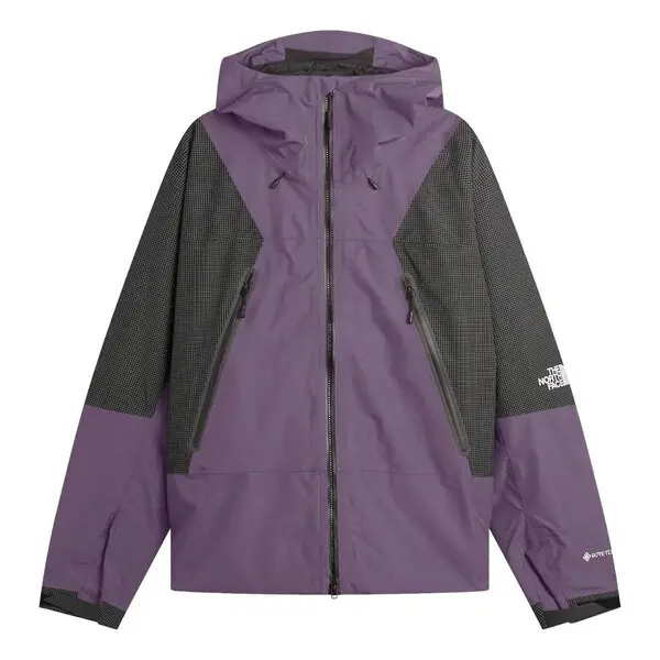 The North Face Spectra Gore-tex Mountain Light Jacket - Endless Dusk
