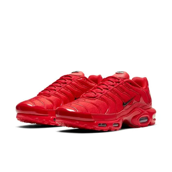 Nike Max Plus Sneakers