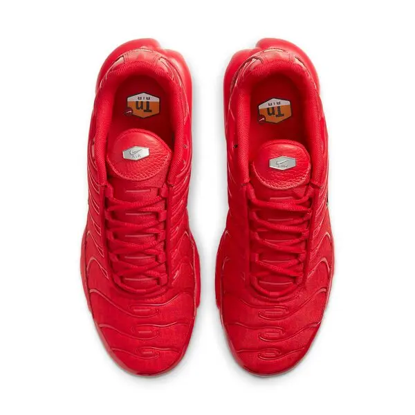 Nike Max Plus Sneakers
