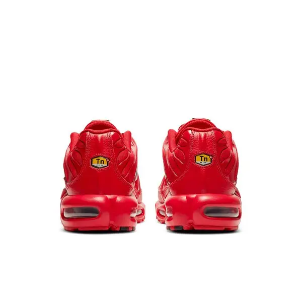 Nike Max Plus Sneakers
