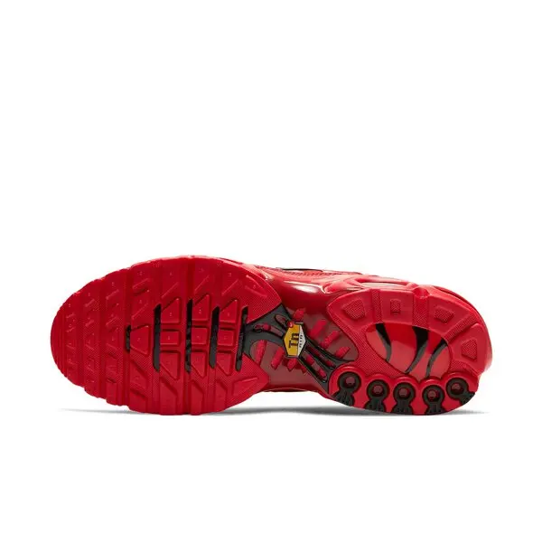 Nike Max Plus Sneakers