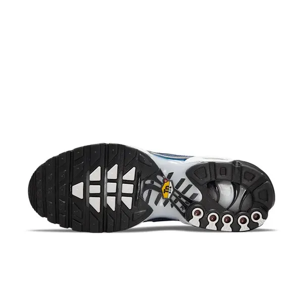 Nike Max Plus Shattered Ice Sneakers