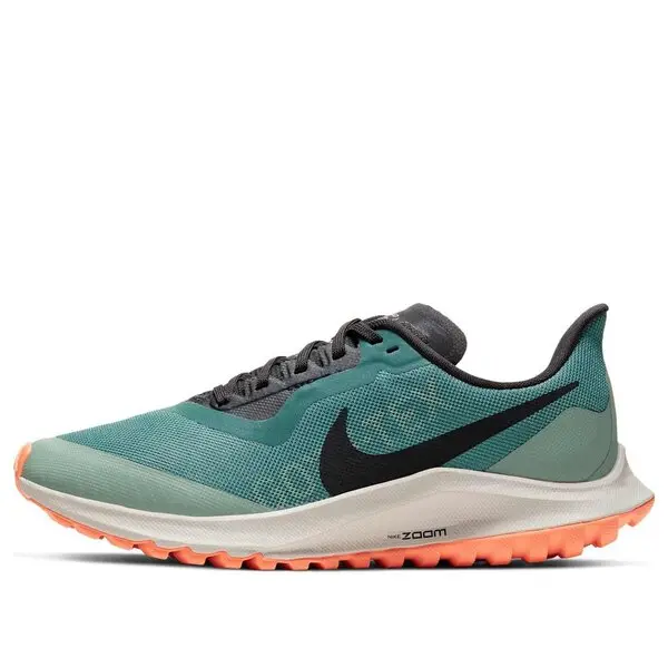 Nike Zoom Pegasus 36 Trail Gtx - Blue/red/green