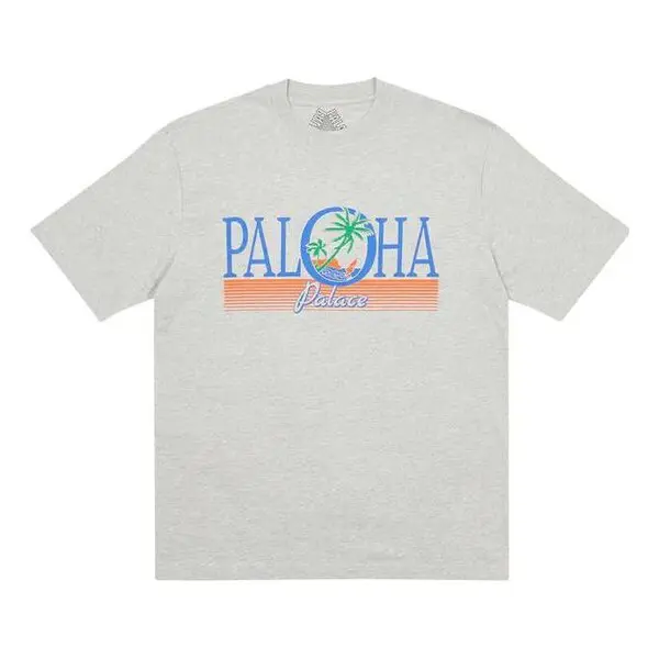 PALACE Fw22 Paloha T-shirt - Grey