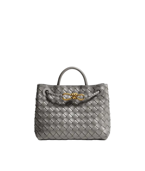Bottega Veneta Small Andiamo