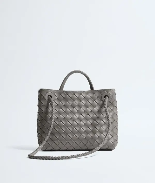 Bottega Veneta Small Andiamo