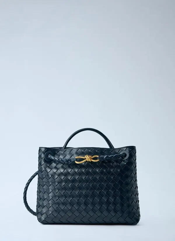 Bottega Veneta Small Andiamo Handbag