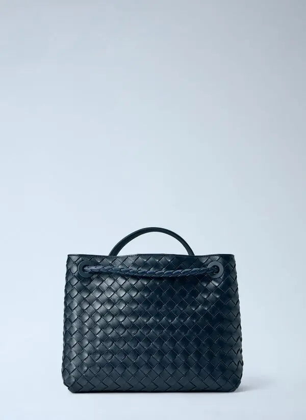 Bottega Veneta Small Andiamo Handbag
