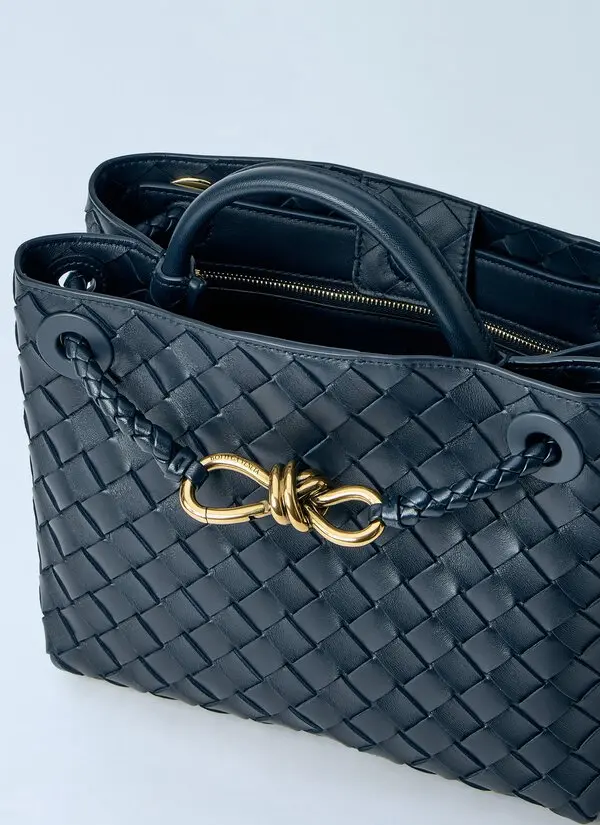 Bottega Veneta Small Andiamo Handbag