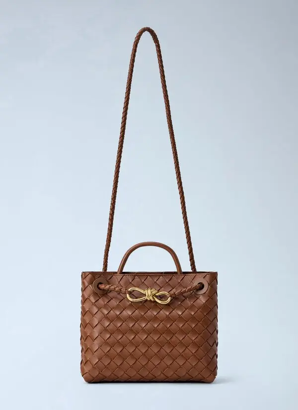 Bottega Veneta Small Andiamo Handbag - Brown